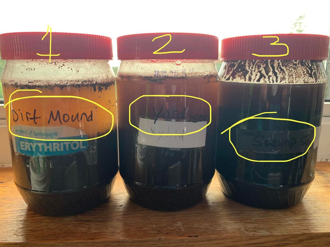 Making Clay or Insulation... Out of Humus? - Forest & Meadow Villages Inc.